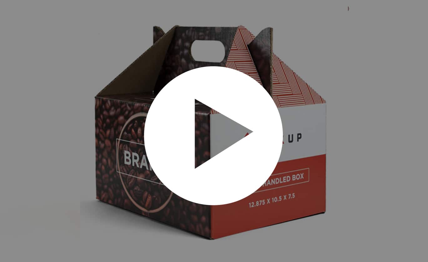 Tutorials and Infographics - BoxUp